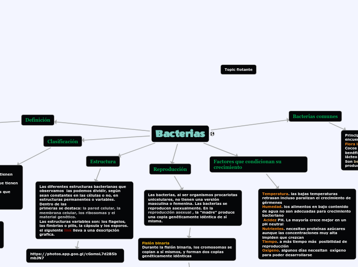 Bacterias - Mind Map